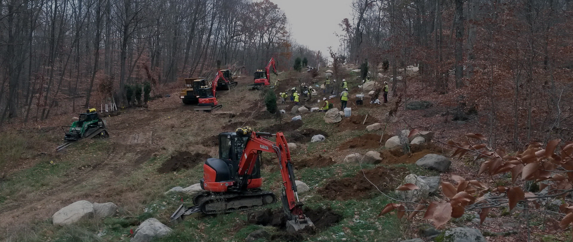WFATrees: Direct Path to Finding Premium Tree Restoration